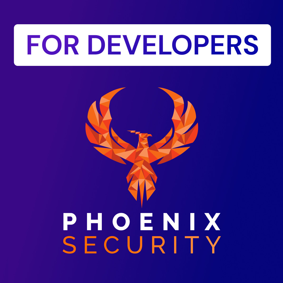 Phoenix Security - Contextualize Prioritize and ACT on Risk