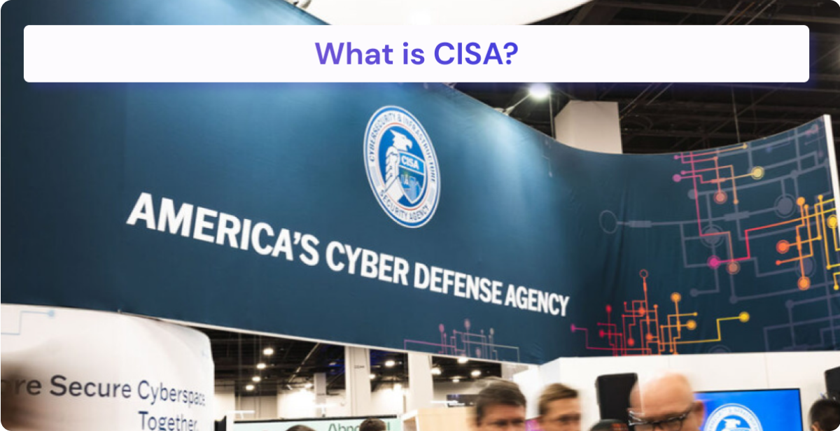 Phoenix Security - Vulnerability data Explorer