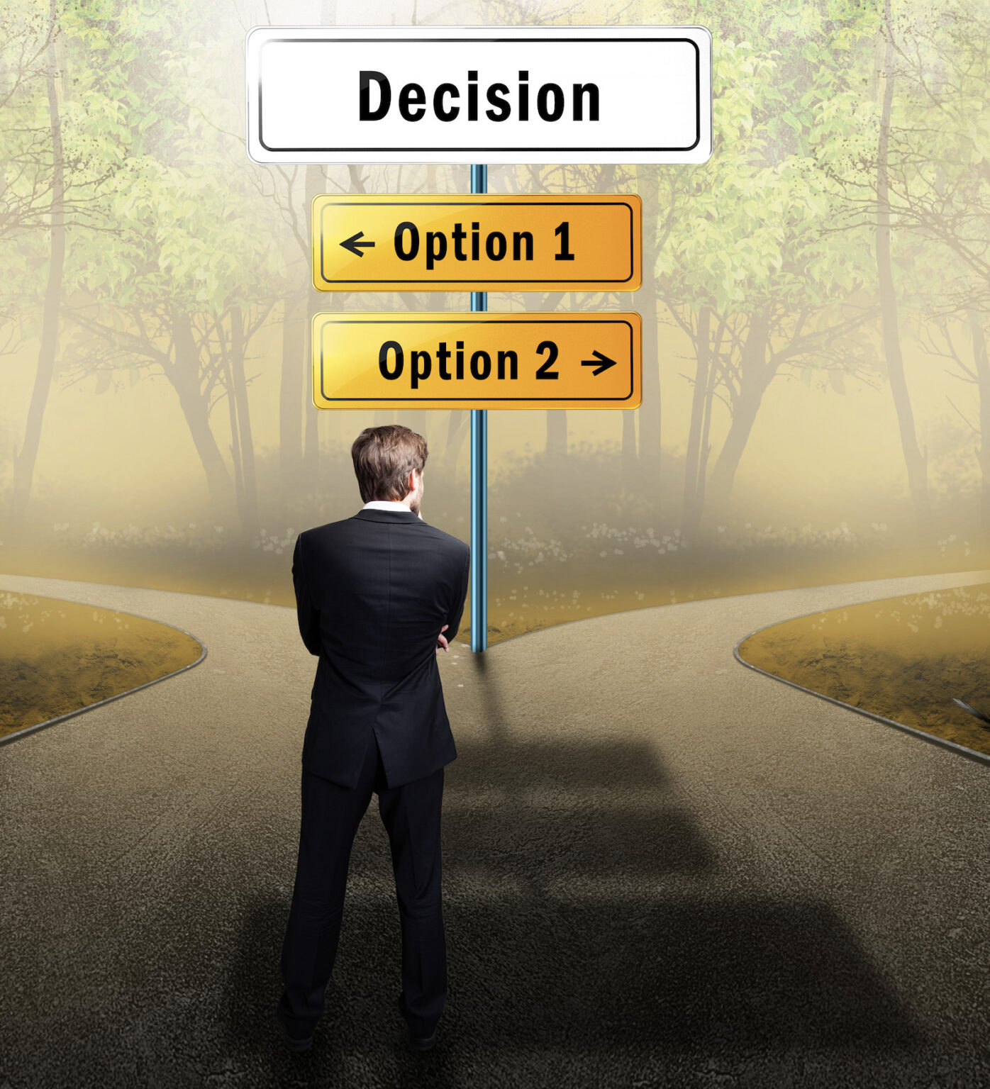 Risk Based approach vs Decision Trees how to prioritize vulnerabilities