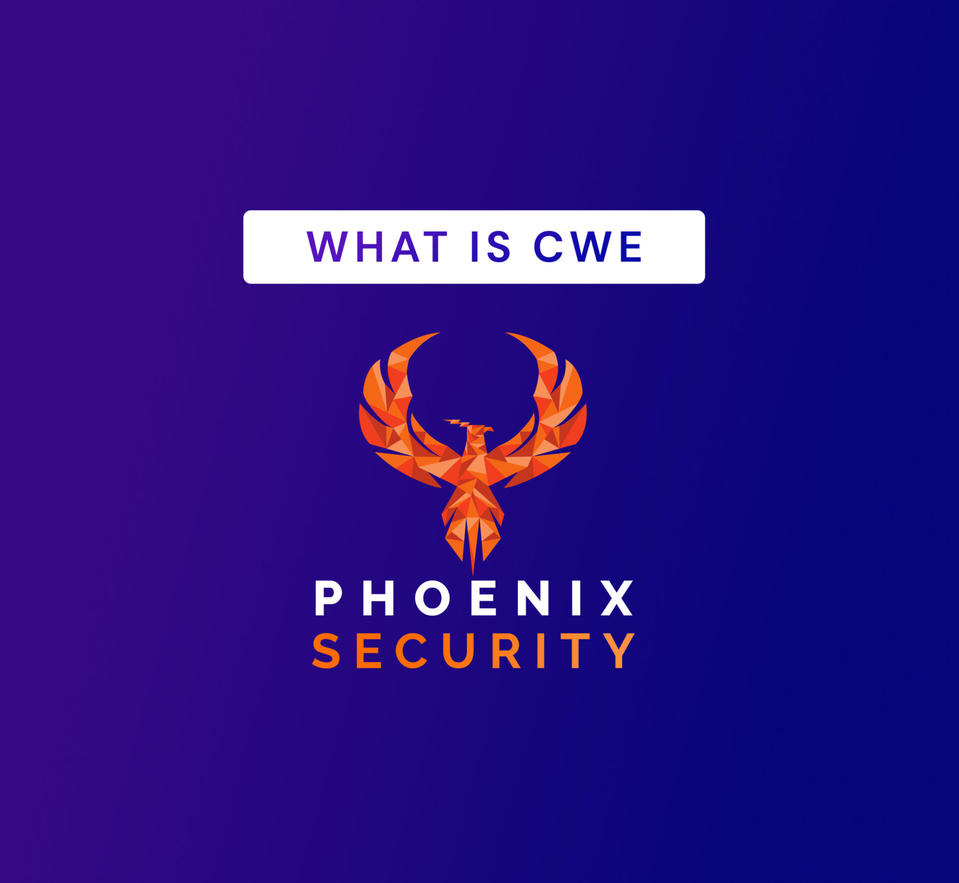 Phoenix Security - Vulnerability data Explorer - CWE Exploration for Appsec