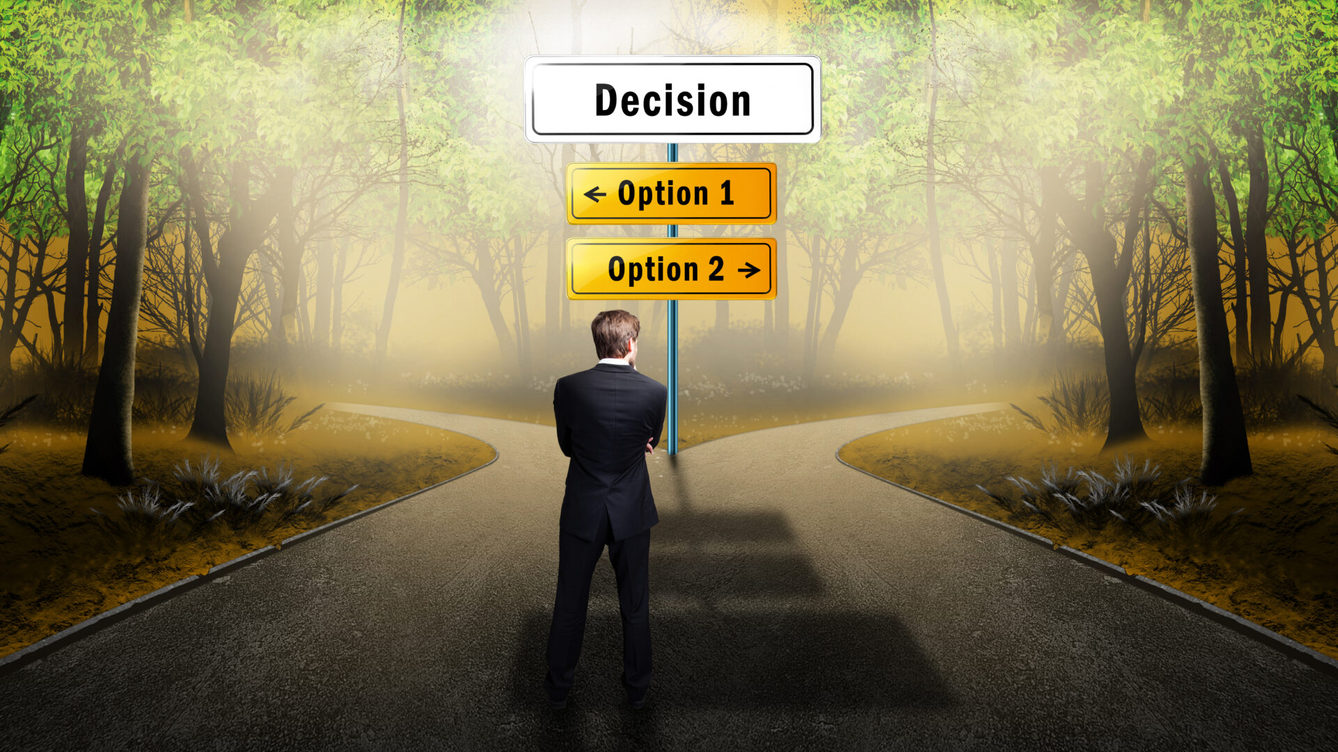Risk Based approach vs Decision Trees how to prioritize vulnerabilities